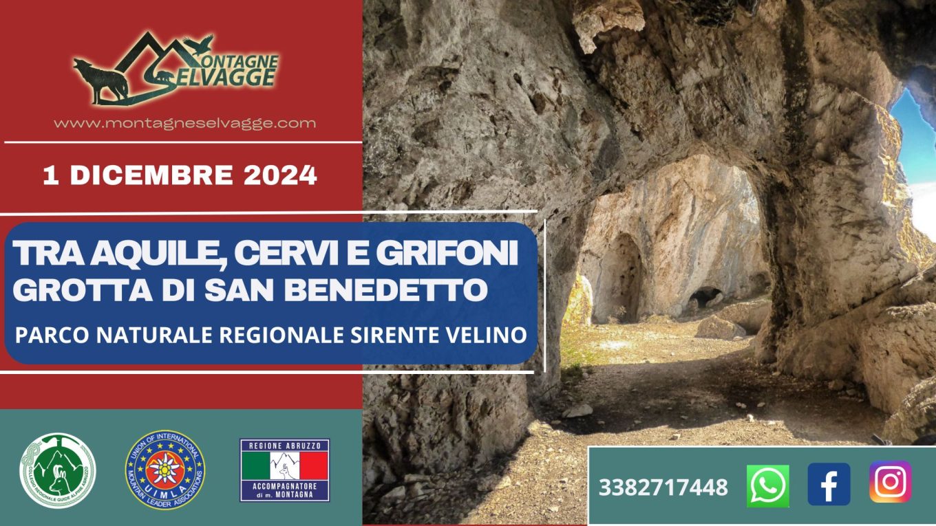 Differenza tra trekking, escursione e cammino